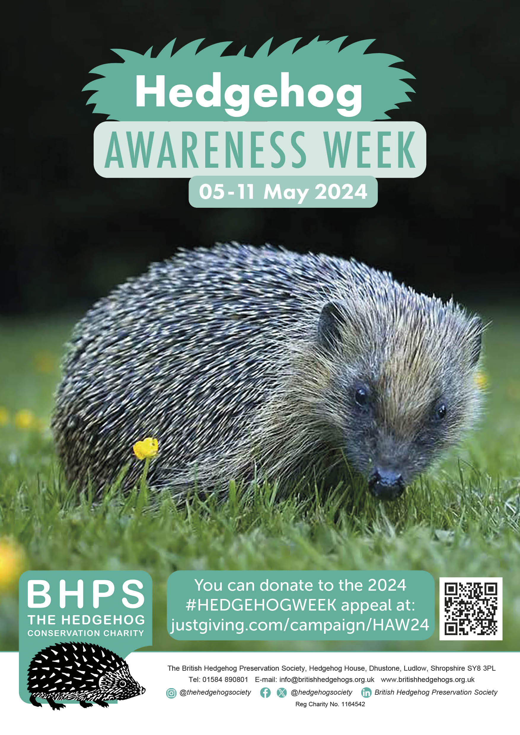 Posters - The British Hedgehog Preservation Society