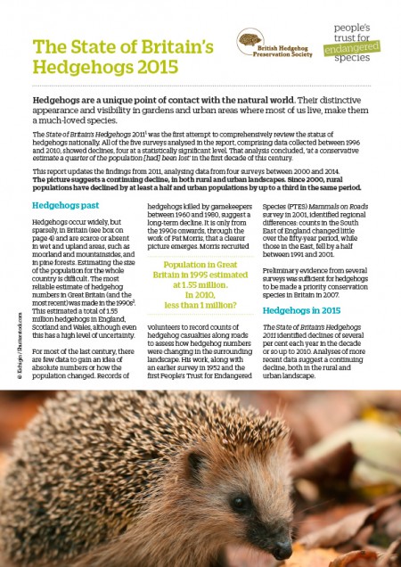 State of Britain's Hedgehogs 2015 released! - The British Hedgehog ...