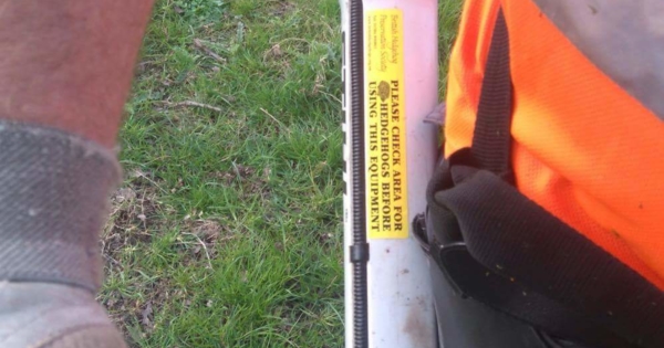 Hedgehog Heroes - Evolution Arbtech - The British Hedgehog Preservation ...