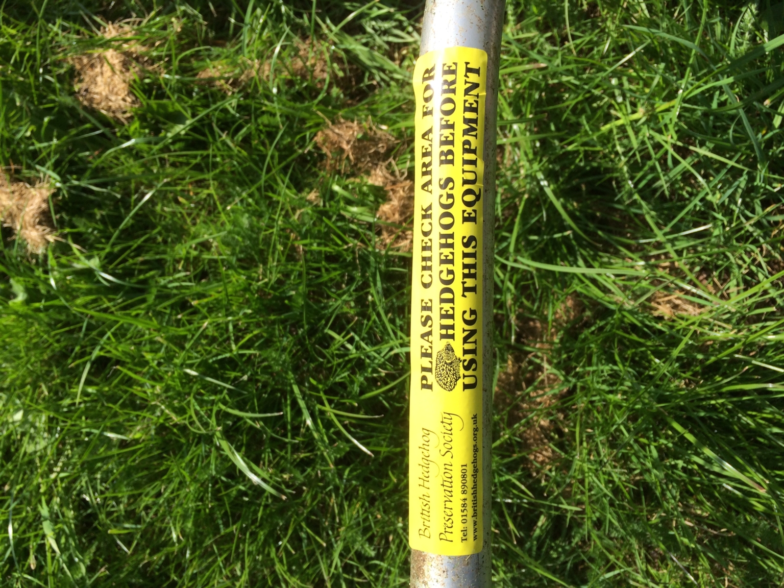 Hedgehog Heroes - Hertfordshire County Council – Ringway - The British ...