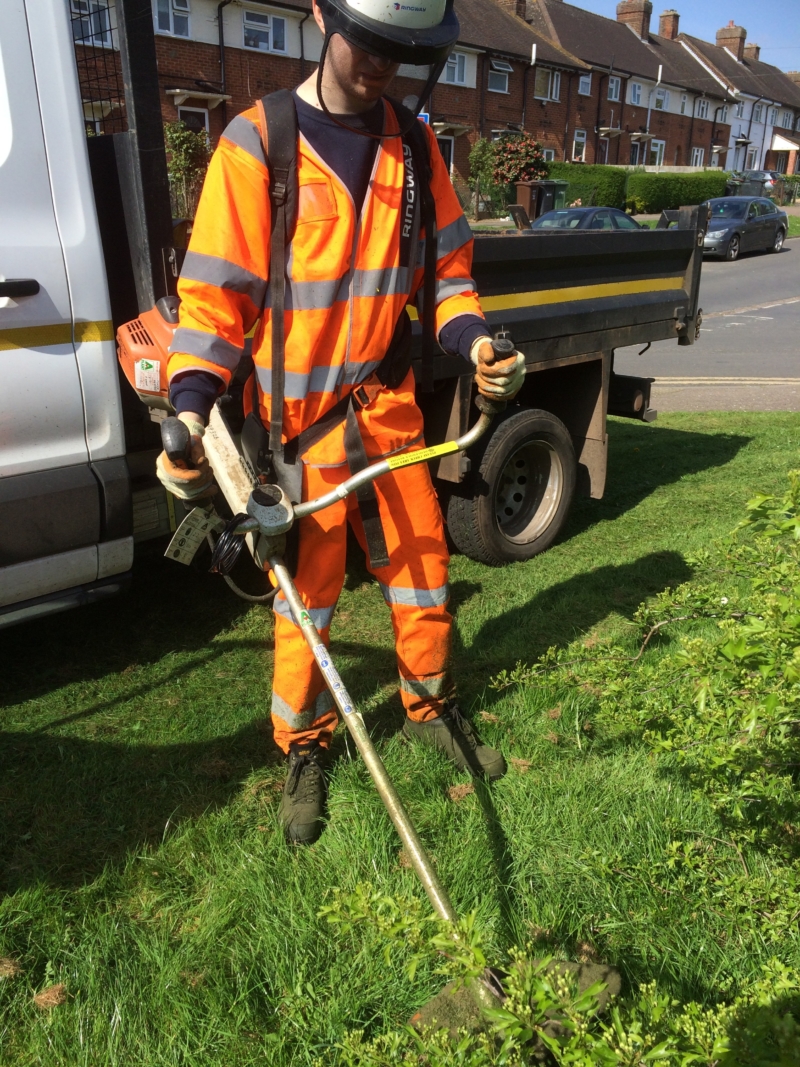Hedgehog Heroes - Hertfordshire County Council – Ringway - The British ...