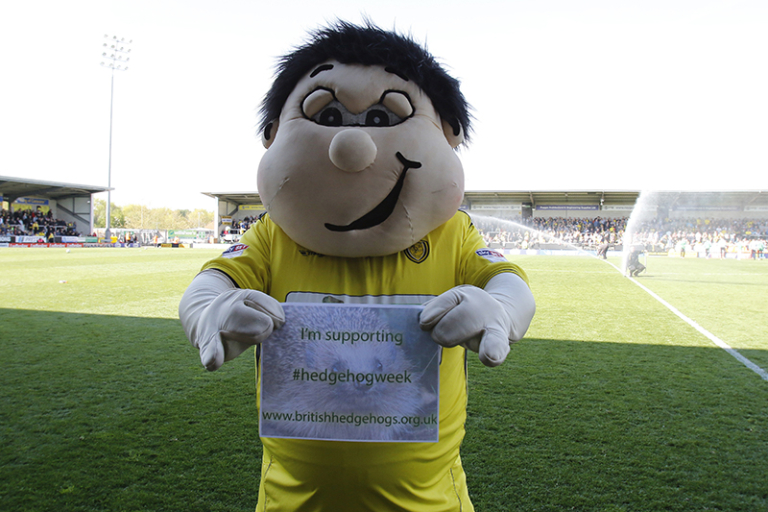 Hedgehog Friendly Football League