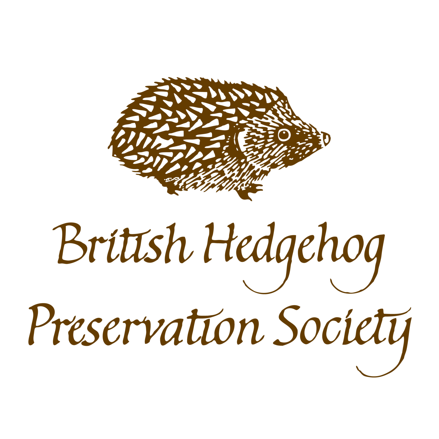 The British Hedgehog Preservation Society