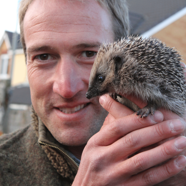 The British Hedgehog Preservation Society