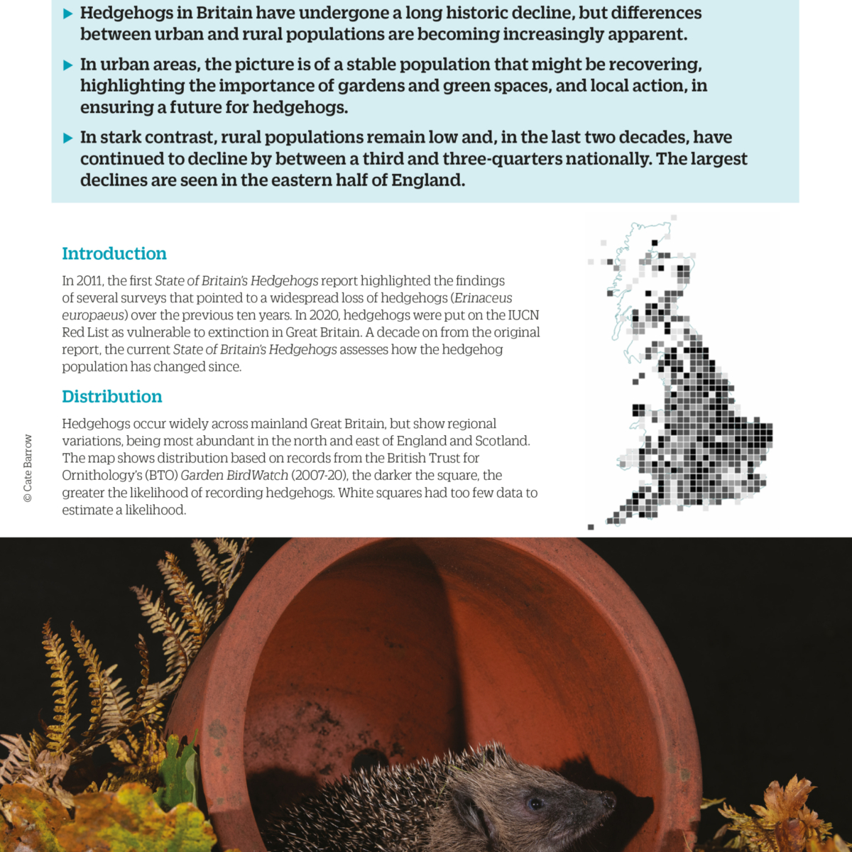 Contact Us - The British Hedgehog Preservation Society