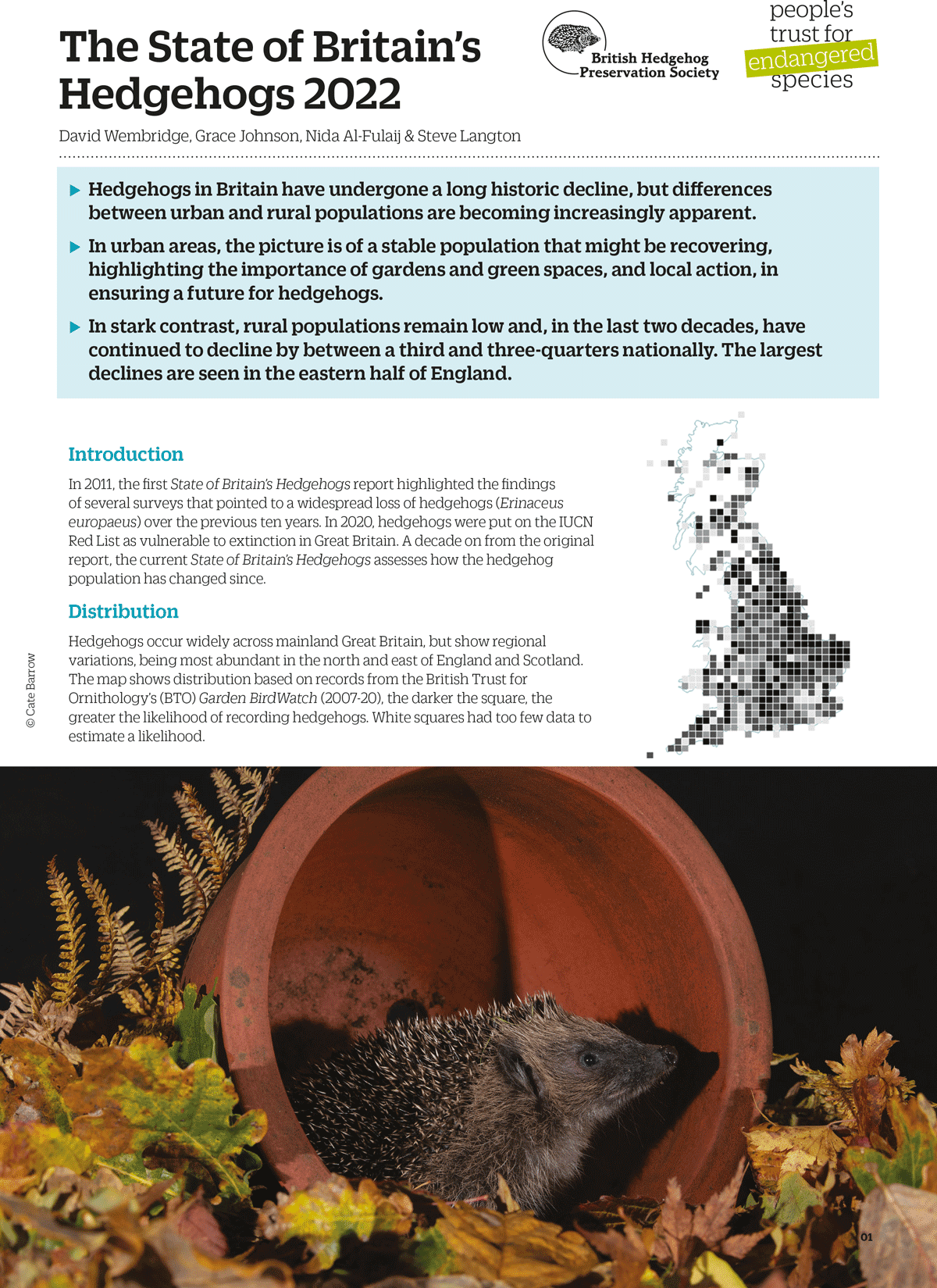 NEW State of Britain’s Hedgehog Report issued today! - The British ...