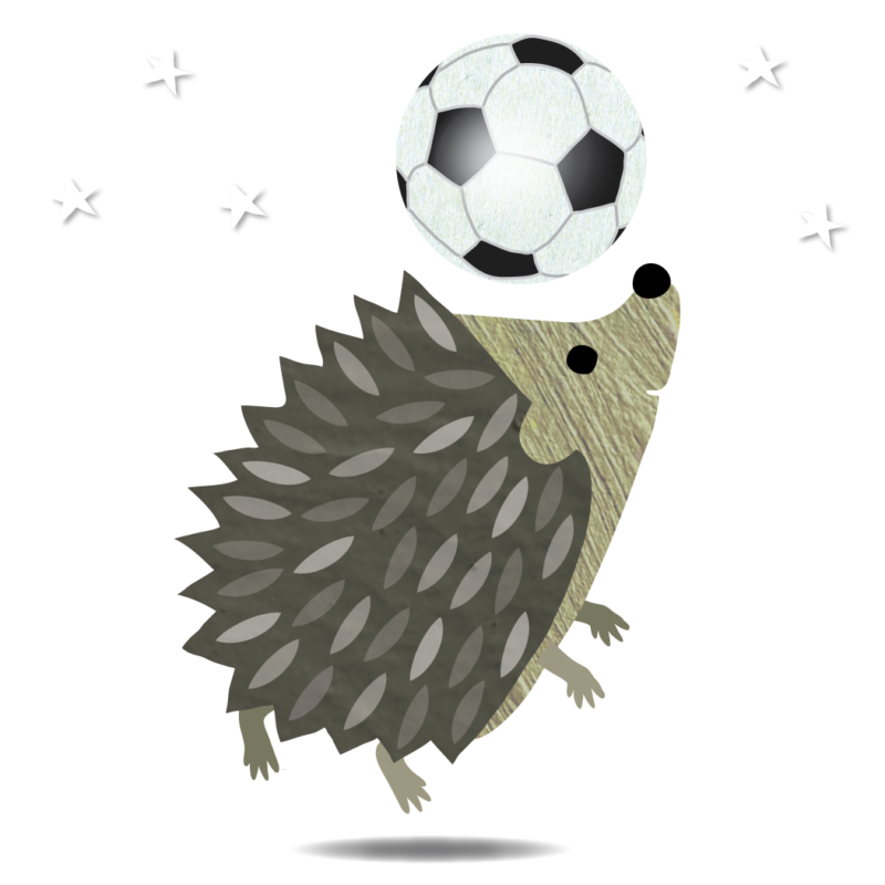 The British Hedgehog Preservation Society