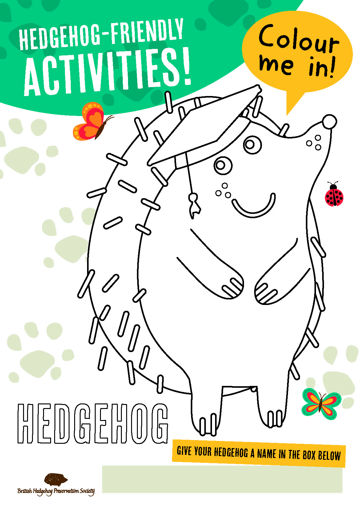 Free Stuff! - The British Hedgehog Preservation Society