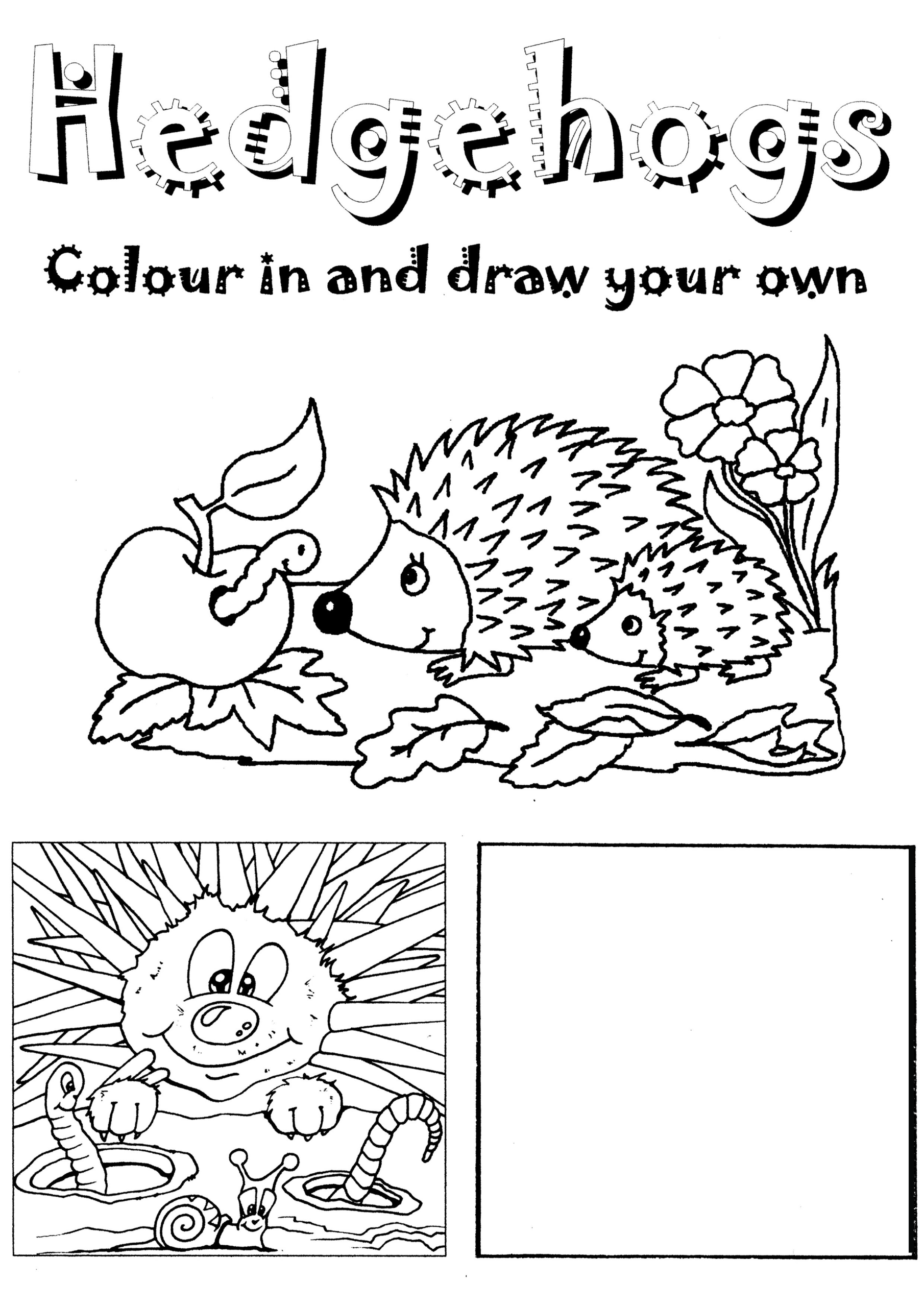 Free Stuff! - The British Hedgehog Preservation Society