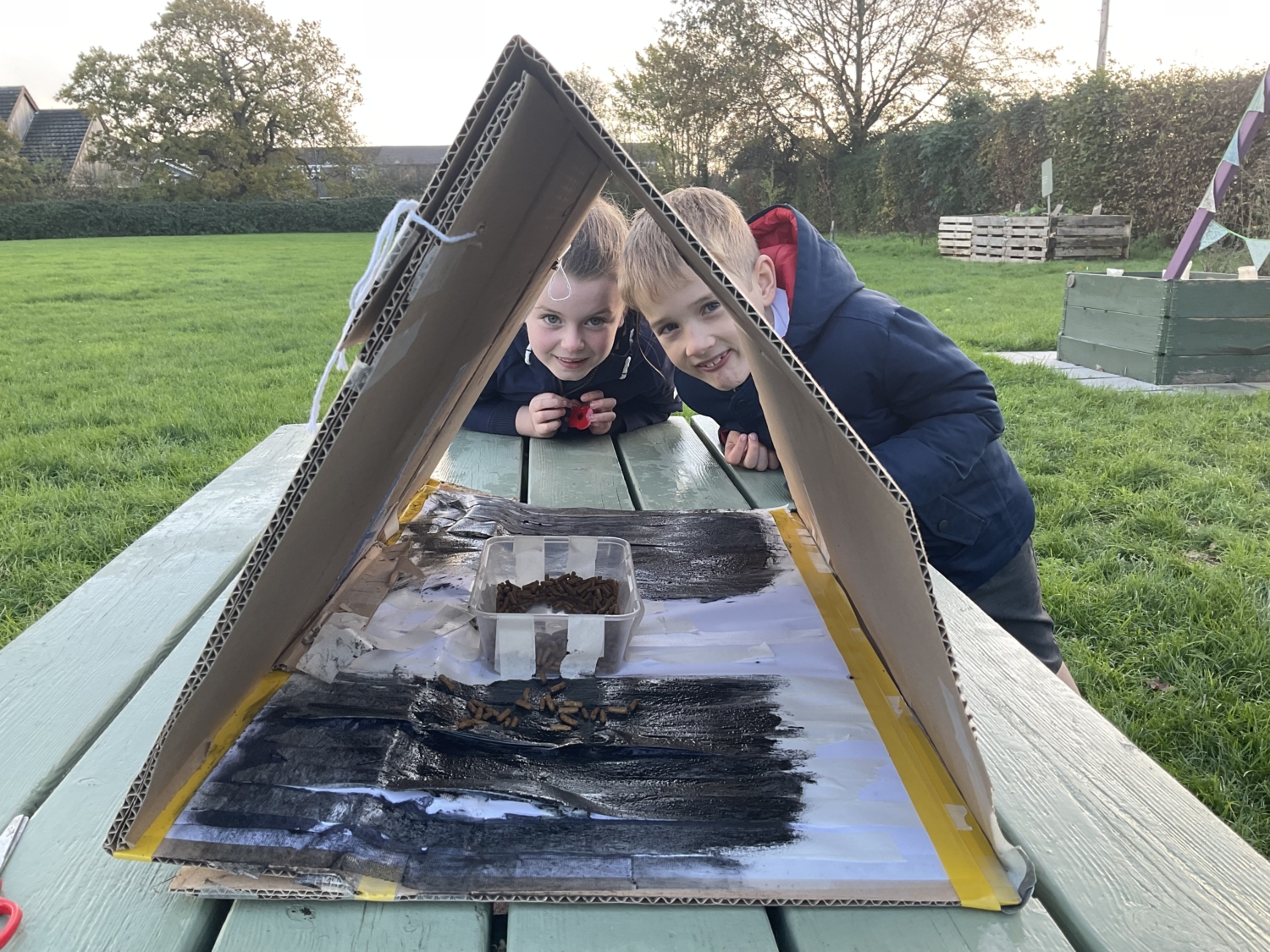 Hedgehog Friendly Schools - The British Hedgehog Preservation Society