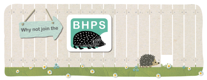 Ramps - The British Hedgehog Preservation Society