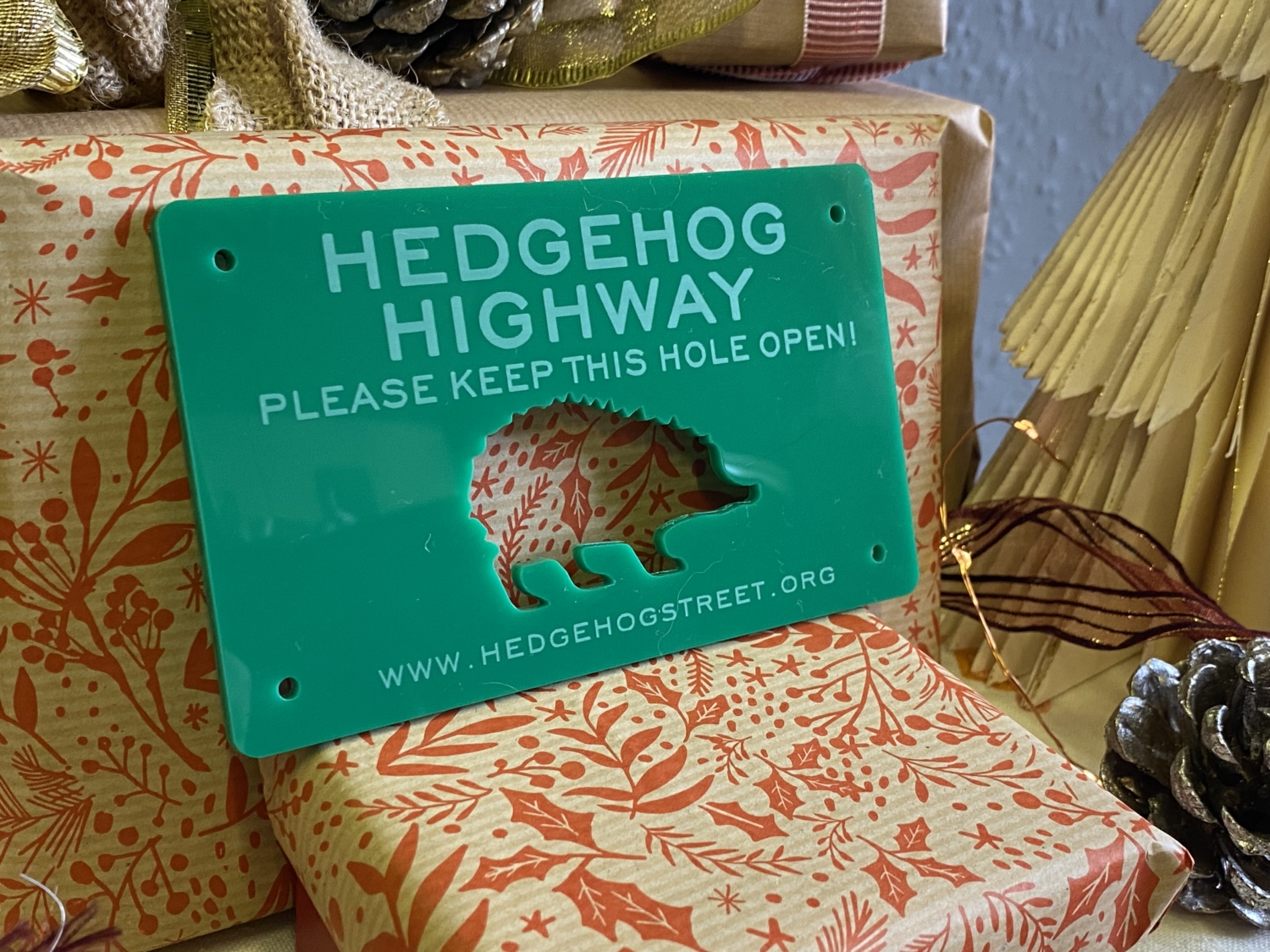 News - The British Hedgehog Preservation Society