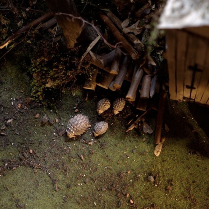 The Littlest Hoglet - The British Hedgehog Preservation Society