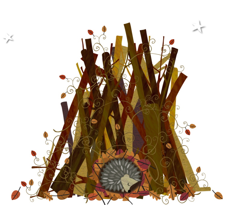 Look Before you Light this Bonfire Night! - The British Hedgehog ...