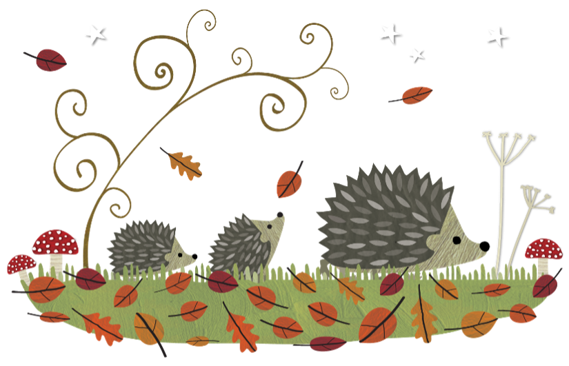 BHPS’ five alternatives for bonfire night: - The British Hedgehog ...
