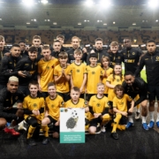 Hedgehogs - The Basic Facts