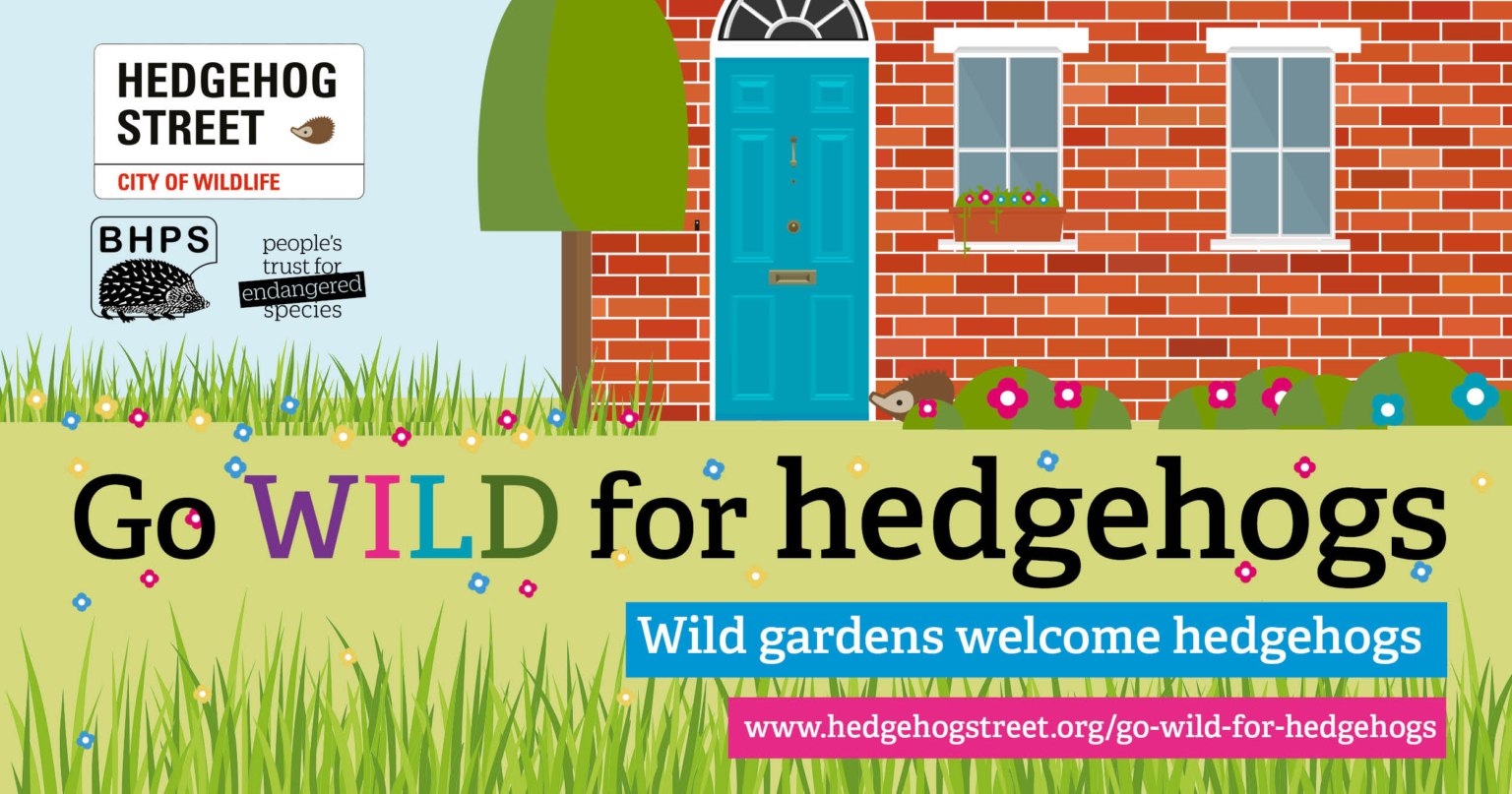 Go WILD for Hedgehogs with Hedgehog Street - The British Hedgehog ...